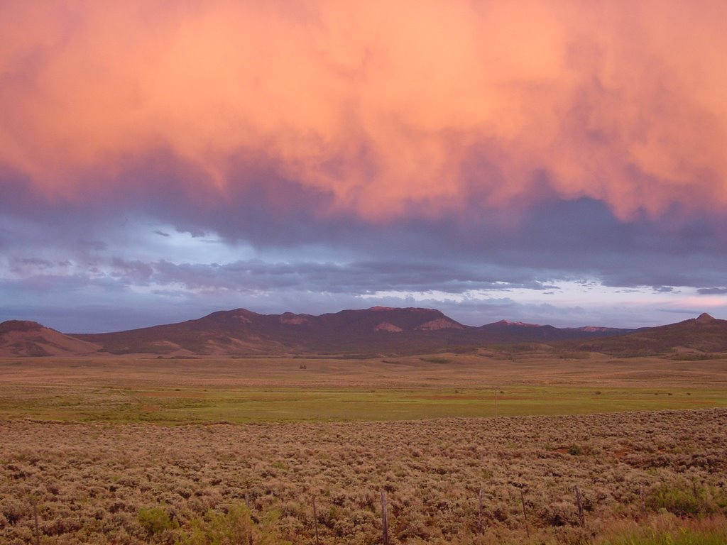 Colorado Unit 16 Unit Profile // GOHUNT. The Hunting Company