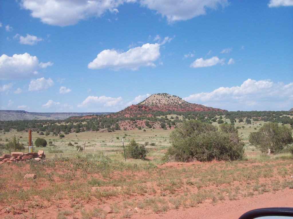 Colorado Unit 147 Unit Profile // GOHUNT. The Hunting Company