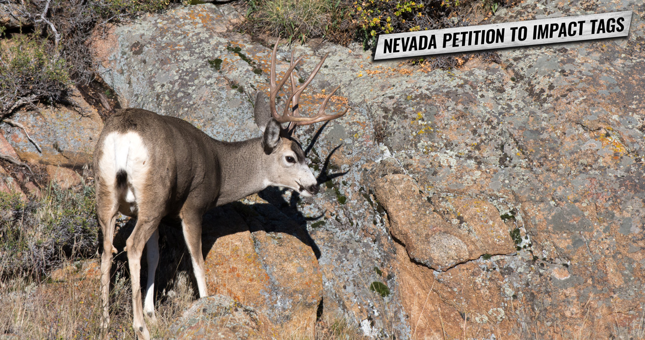 New petition to give 25% of Nevada tags to max point holders // GOHUNT ...