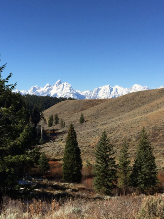A little help from lady luck on a bison hunt // GOHUNT. The Hunting Company