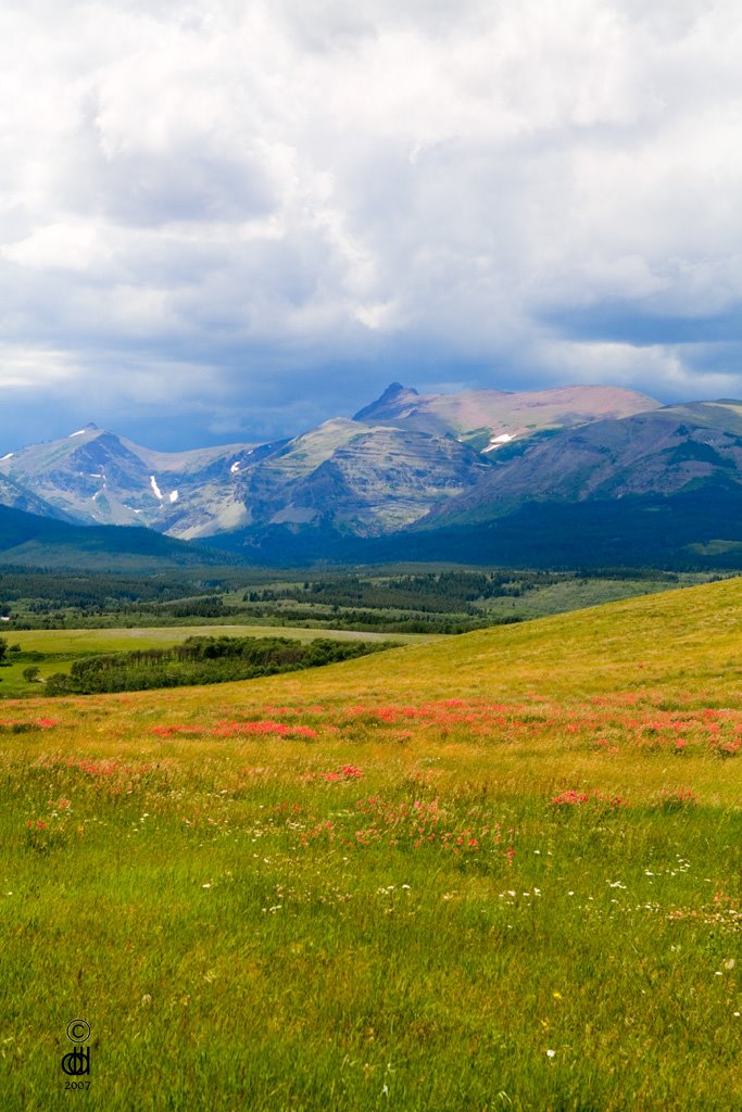Montana Hunt District 415 Unit Profile - 3 Hunters are talking about ...