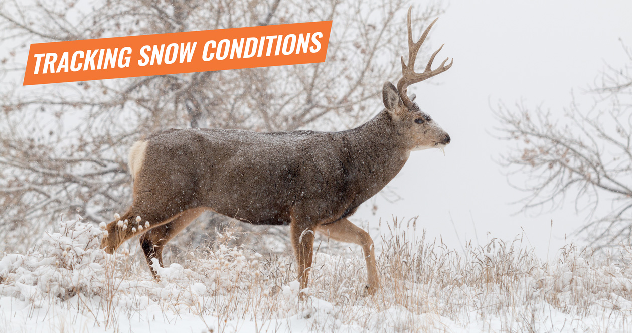 How to track snow conditions before your upcoming hunt // GOHUNT. The ...