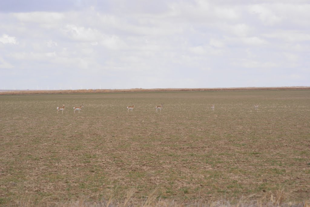 Colorado Unit 137 Unit Profile // GOHUNT. The Hunting Company