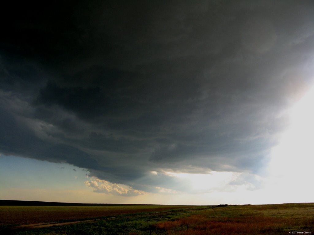 Colorado Unit 122 Unit Profile // GOHUNT. The Hunting Company