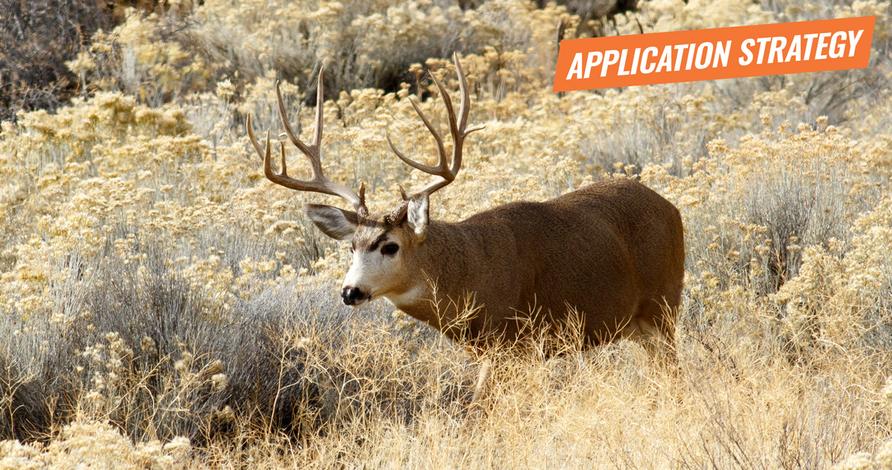 APPLICATION STRATEGY 2018: Nevada Mule Deer // GOHUNT. The Hunting Company