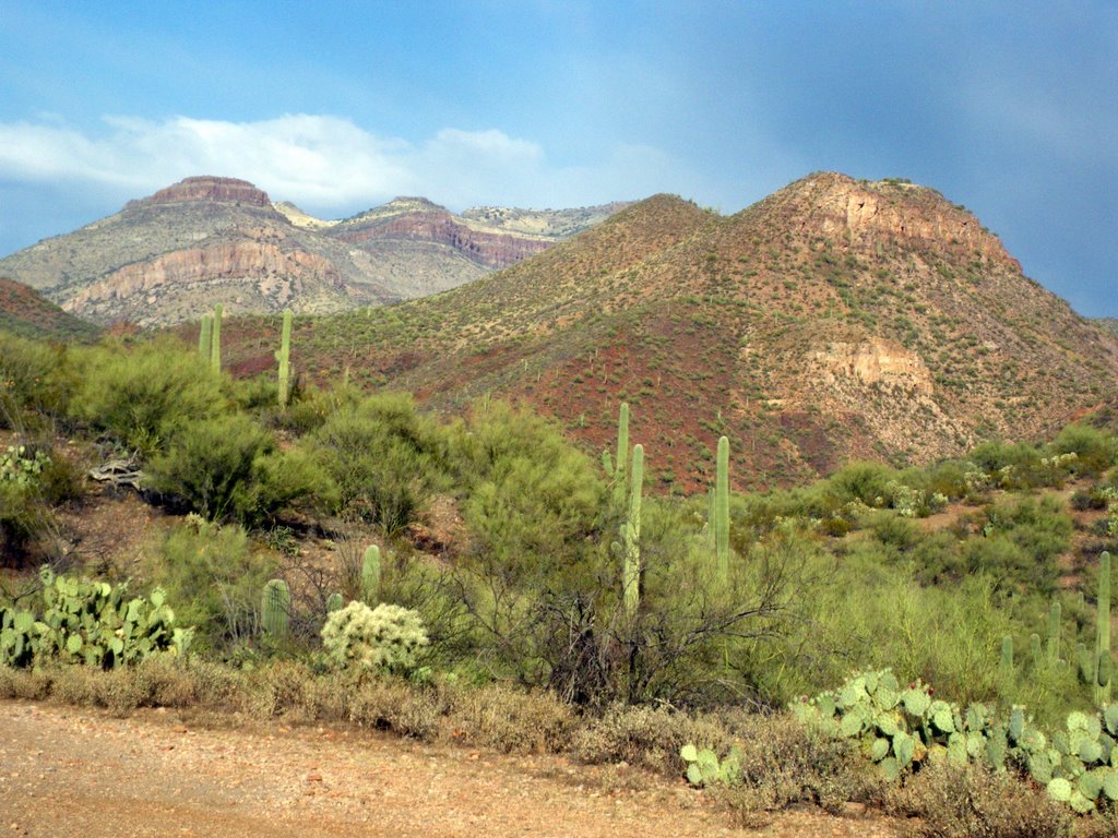 Arizona Unit 37B Unit Profile // GOHUNT. The Hunting Company