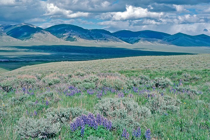 Idaho Unit 58 Unit Profile // GOHUNT. The Hunting Company