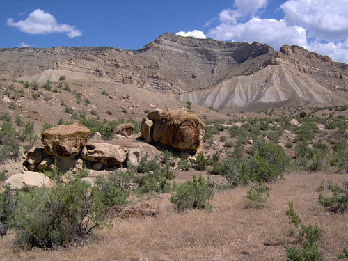 Colorado Unit 30 Unit Profile - 31 Hunters are talking about this Unit ...