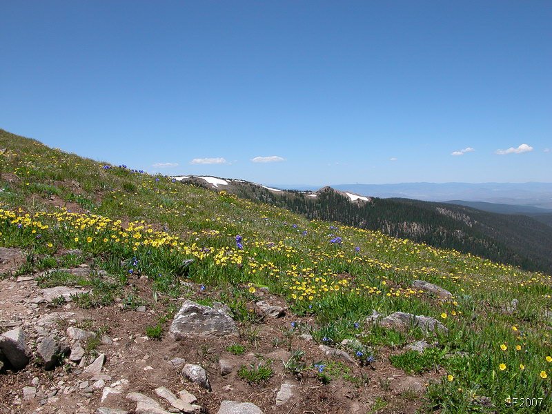 Colorado Unit 28 Unit Profile // GOHUNT. The Hunting Company