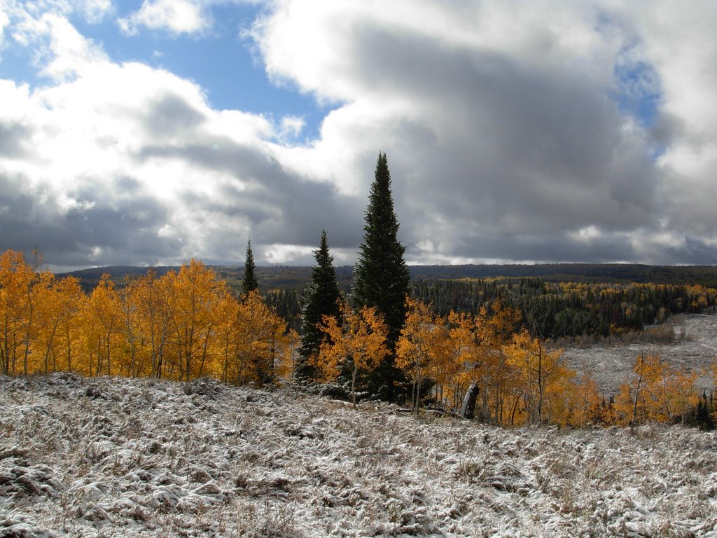 Wyoming Area 82 - Baggs Unit Profile // GOHUNT. The Hunting Company