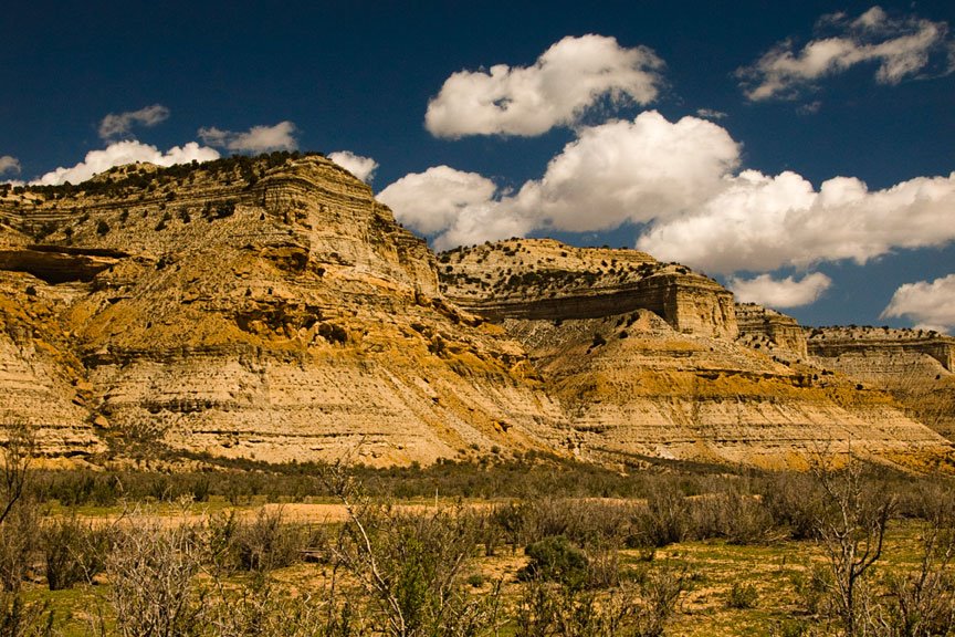 Utah Book Cliffs, North Unit Profile - 22 Hunters are talking about ...