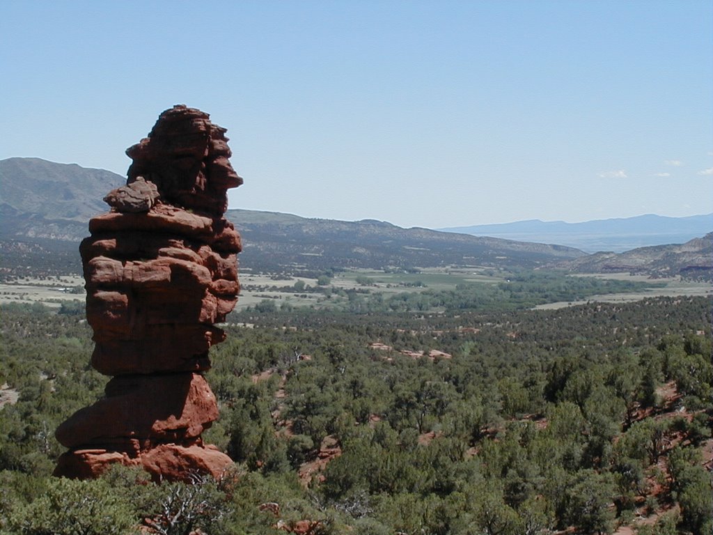 Colorado Unit S7 Unit Profile // GOHUNT. The Hunting Company