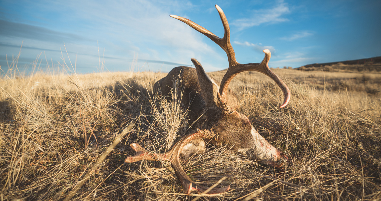 Updated Montana CWD Management Zones For 2019 // GOHUNT. The Hunting ...