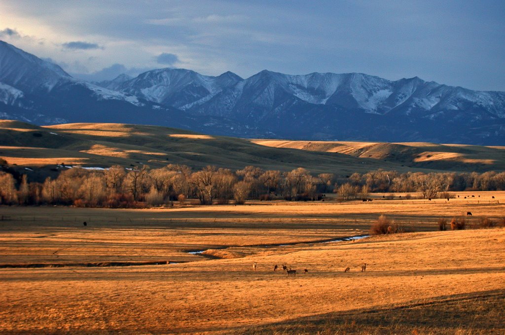 Montana Hunt District 506 Unit Profile // GOHUNT. The Hunting Company