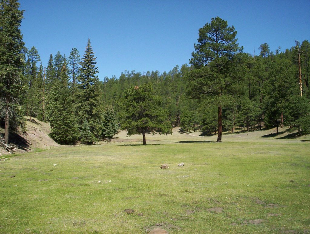 New Mexico Unit 16A Unit Profile // GOHUNT. The Hunting Company