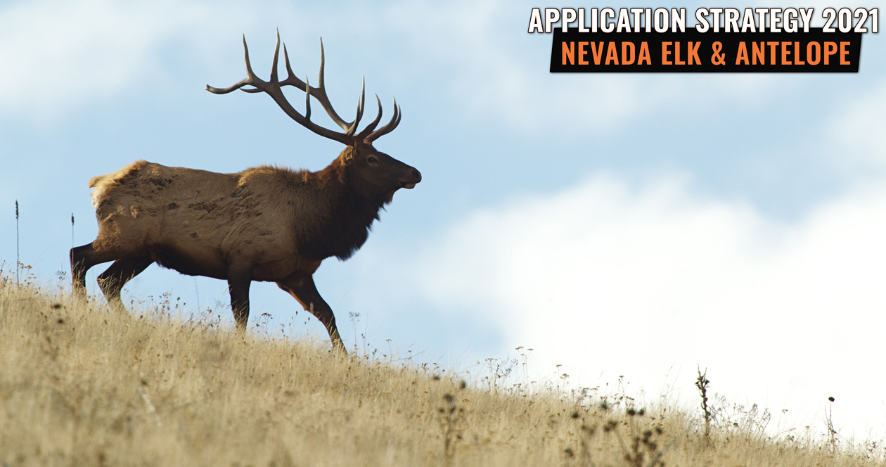 APPLICATION STRATEGY 2021: Nevada Elk & Antelope // GOHUNT. The Hunting ...