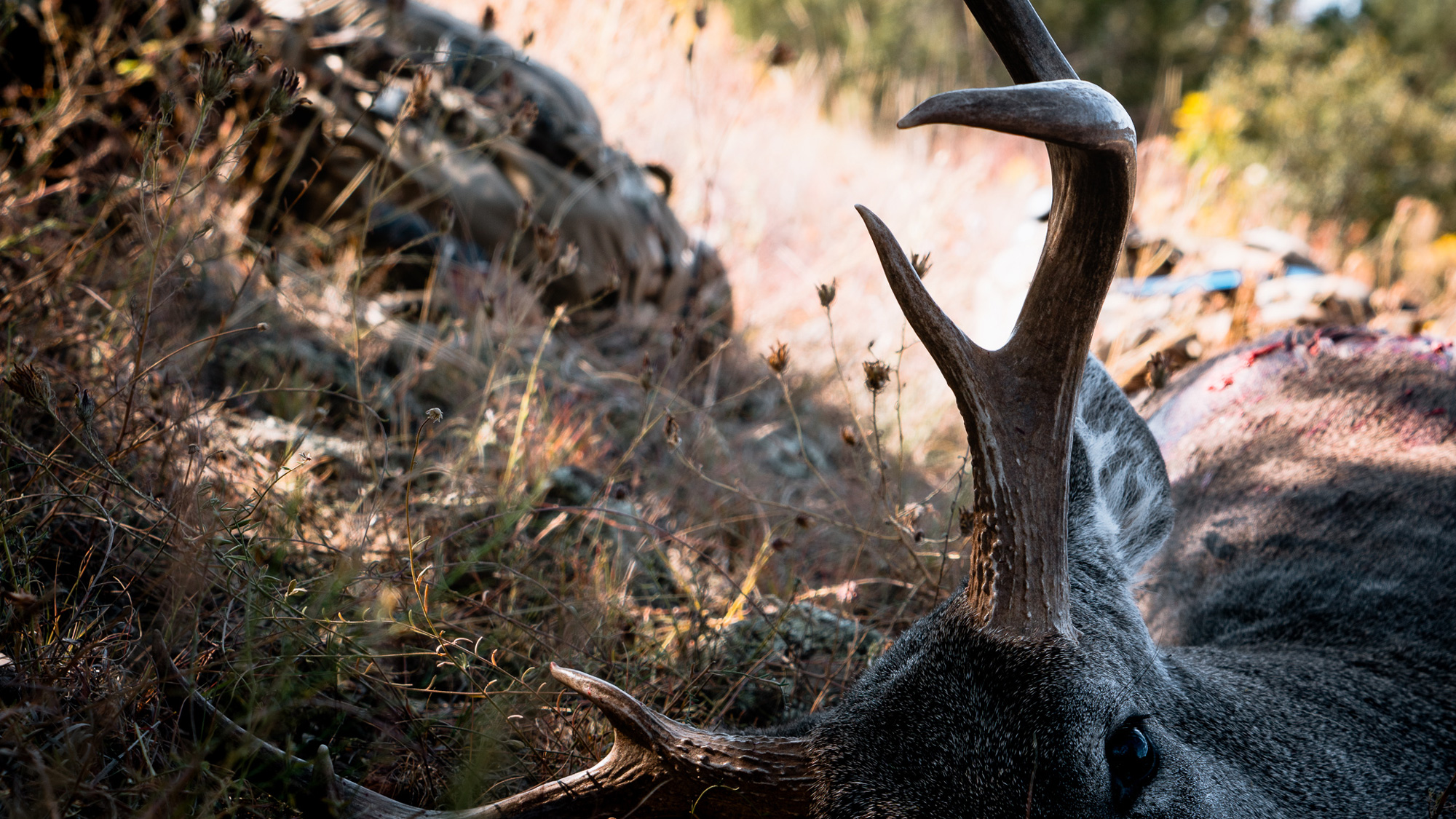 The ebb and flow of hunting spots // GOHUNT. The Hunting Company