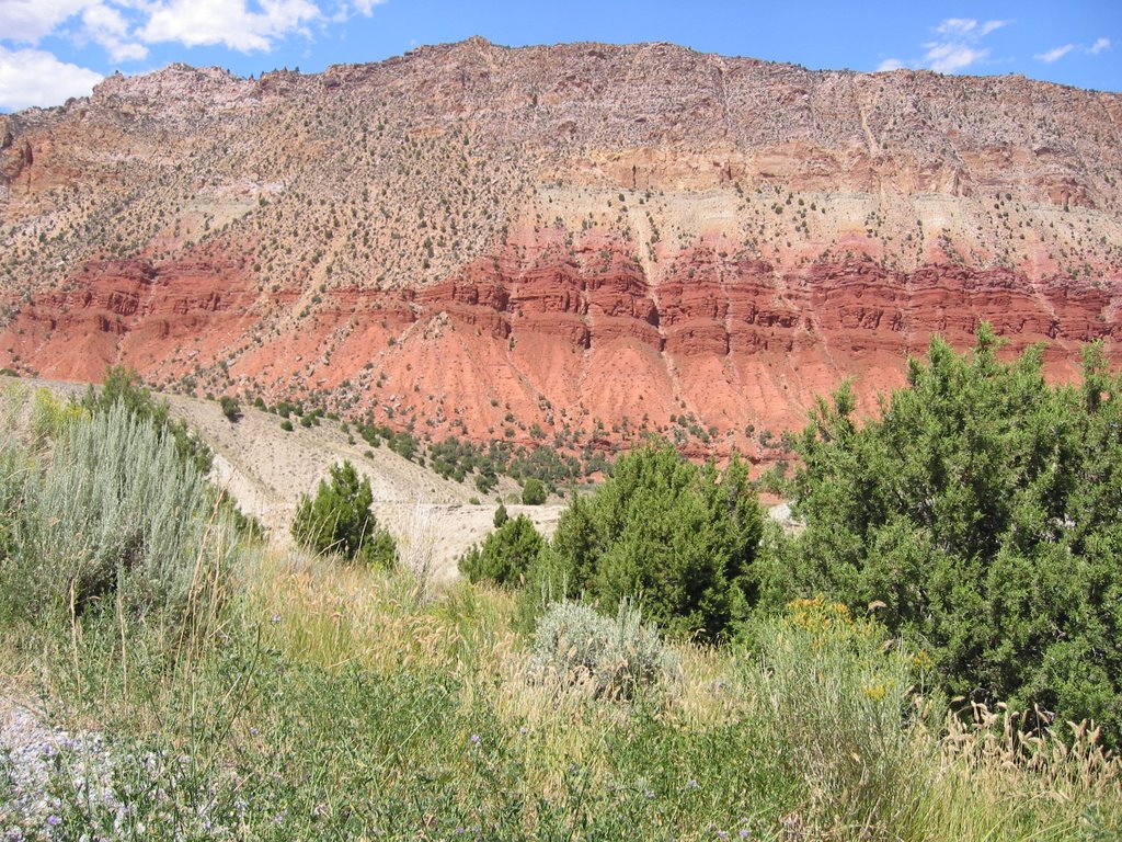 Utah North Slope & Three Corners/West Daggett Unit Profile // GOHUNT ...
