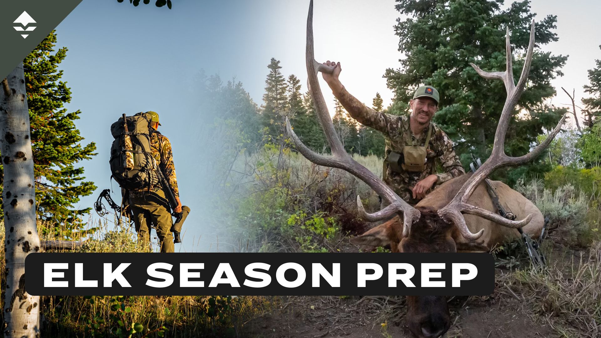 The five pillars of archery elk hunting: crucial steps for success ...