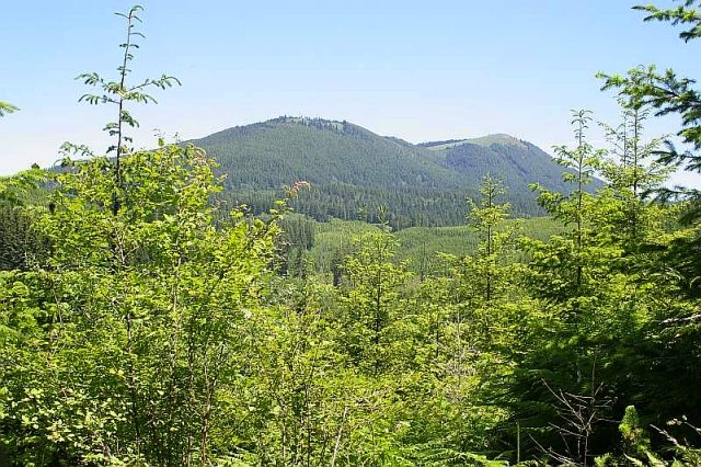 Oregon Unit 18 - Alsea Unit Profile // GOHUNT. The Hunting Company