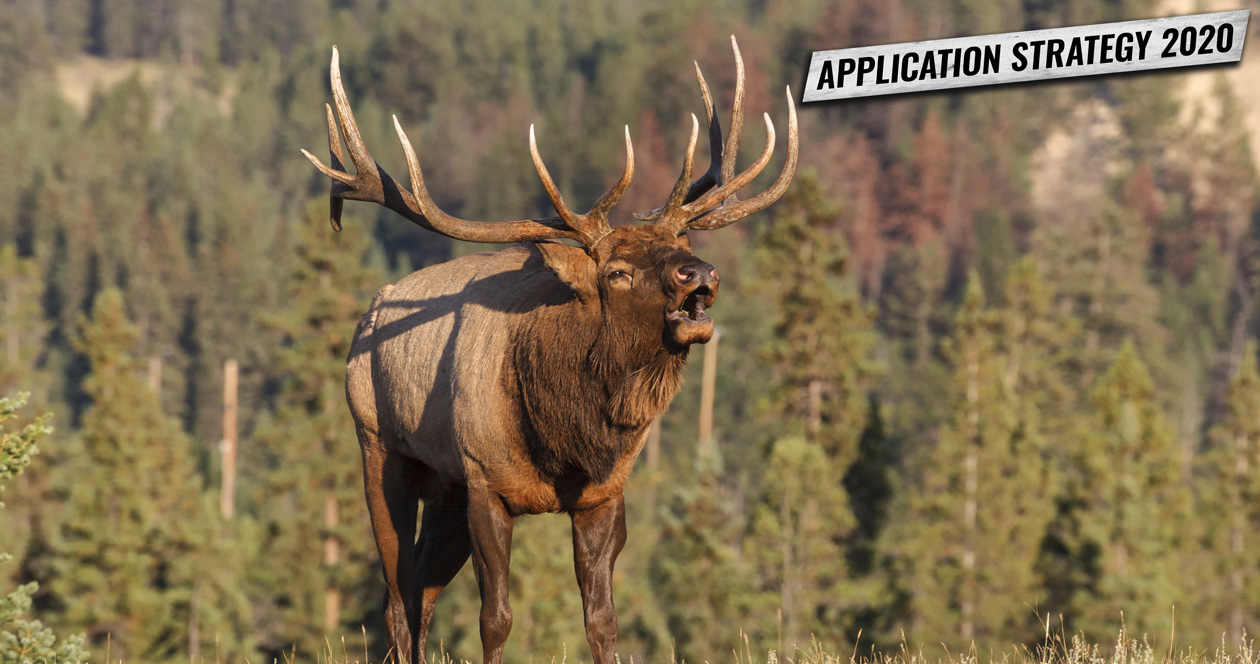 APPLICATION STRATEGY 2020: New Mexico Elk and Deer // GOHUNT. The Hunting Company