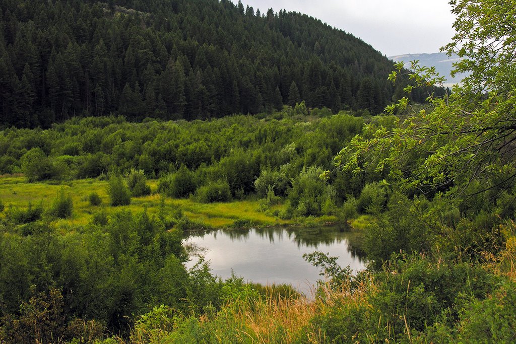 Idaho Unit 66-1 Unit Profile // GOHUNT. The Hunting Company