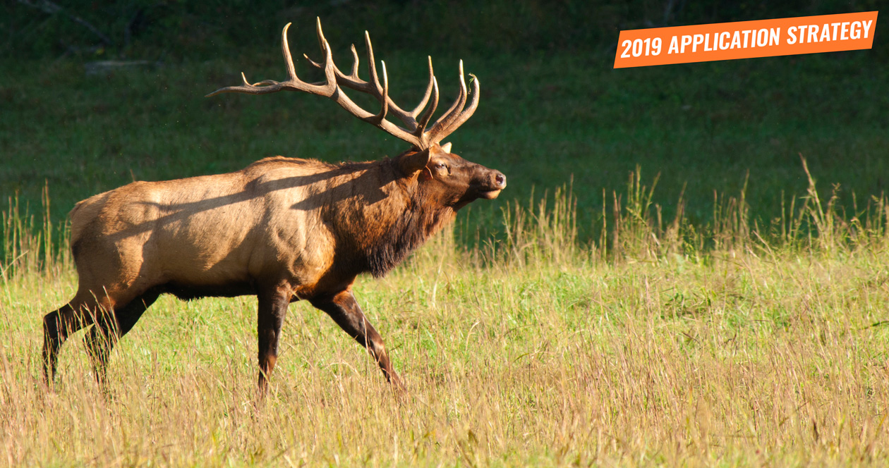 APPLICATION STRATEGY 2019: California Elk and Sheep // GOHUNT. The ...