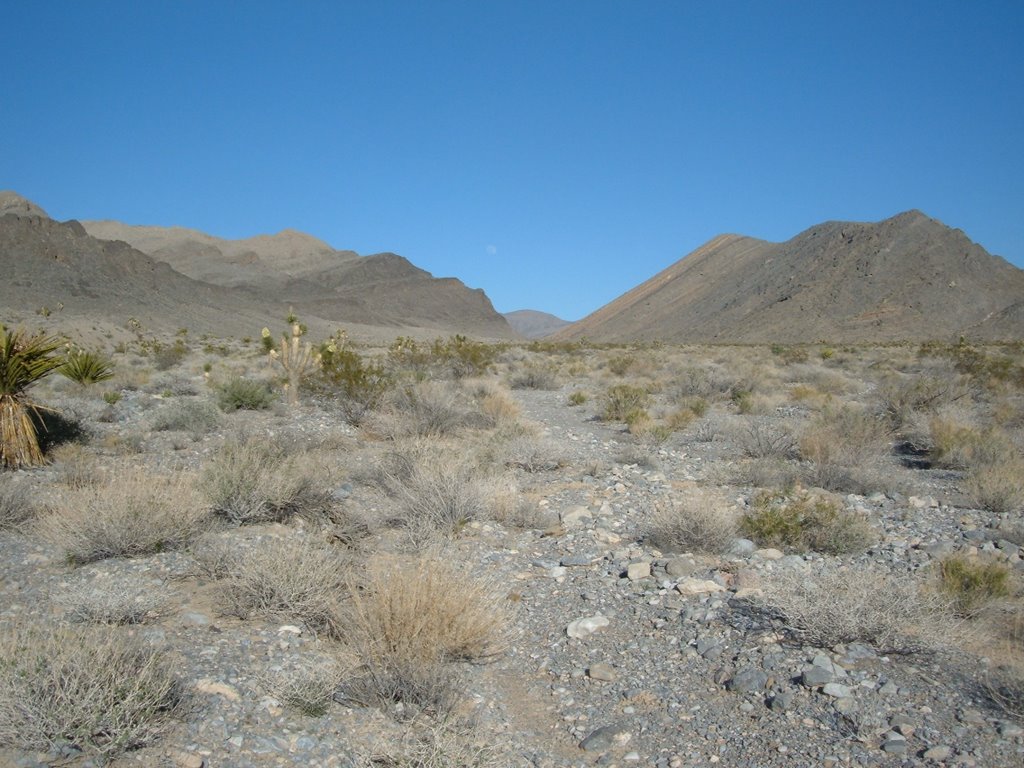 Nevada Unit 282 Unit Profile // GOHUNT. The Hunting Company