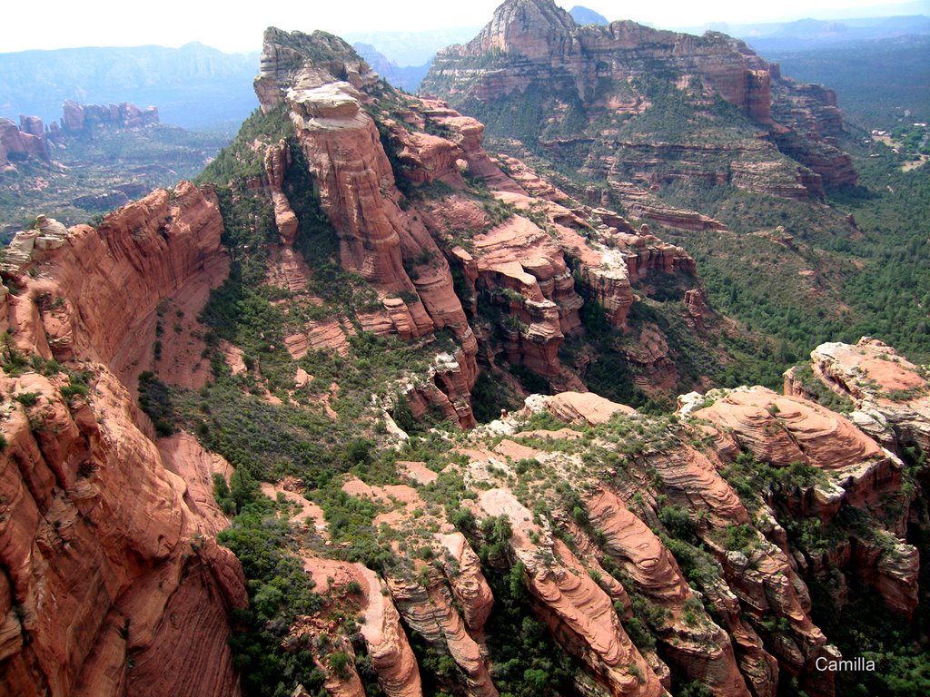 Arizona Unit 6B Unit Profile - 48 Hunters are talking about this Unit ...