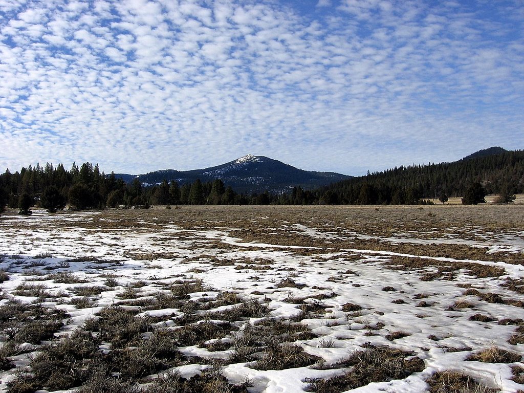 Oregon Unit 75 - Interstate Unit Profile // GOHUNT. The Hunting Company