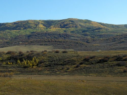 Colorado Unit 131 Unit Profile - 3 Hunters are talking about this Unit ...