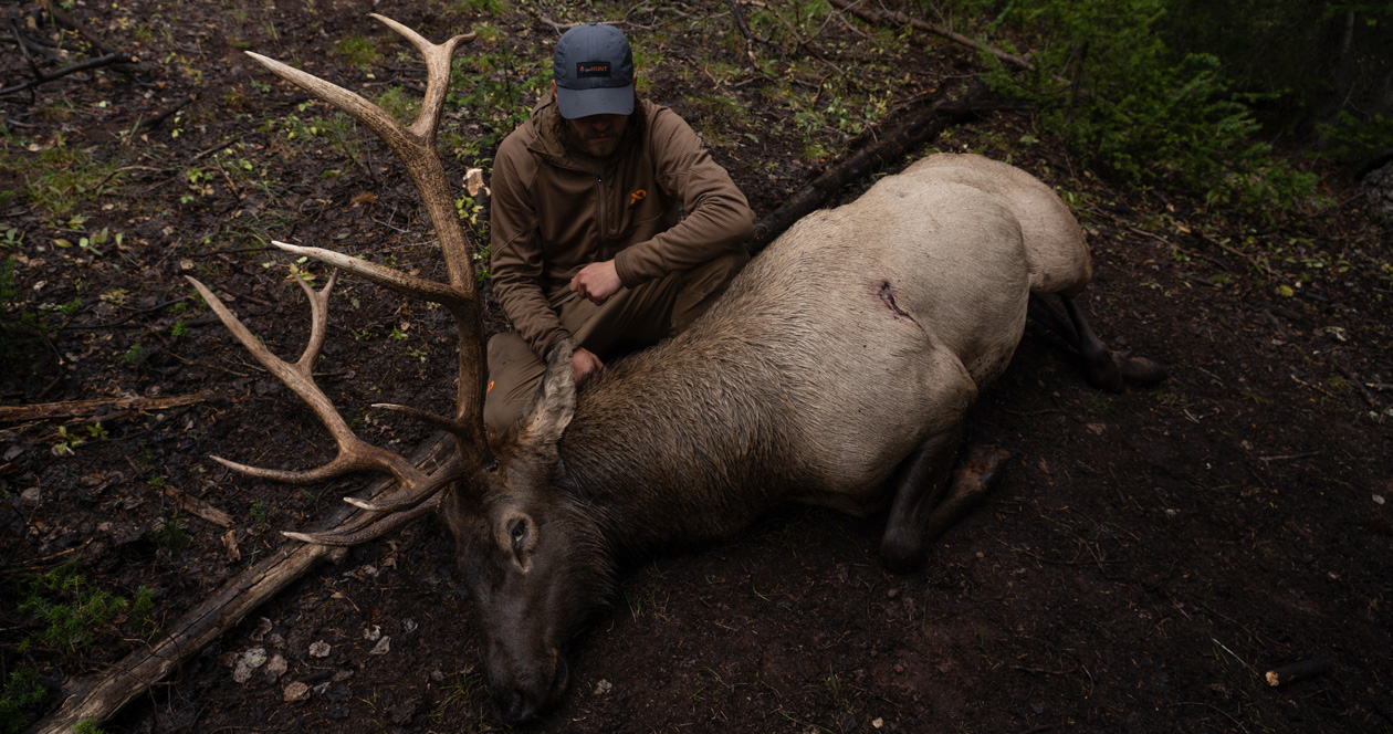 Early season elk tactics: How to effectively hunt elk wallows // GOHUNT. The Hunting Company