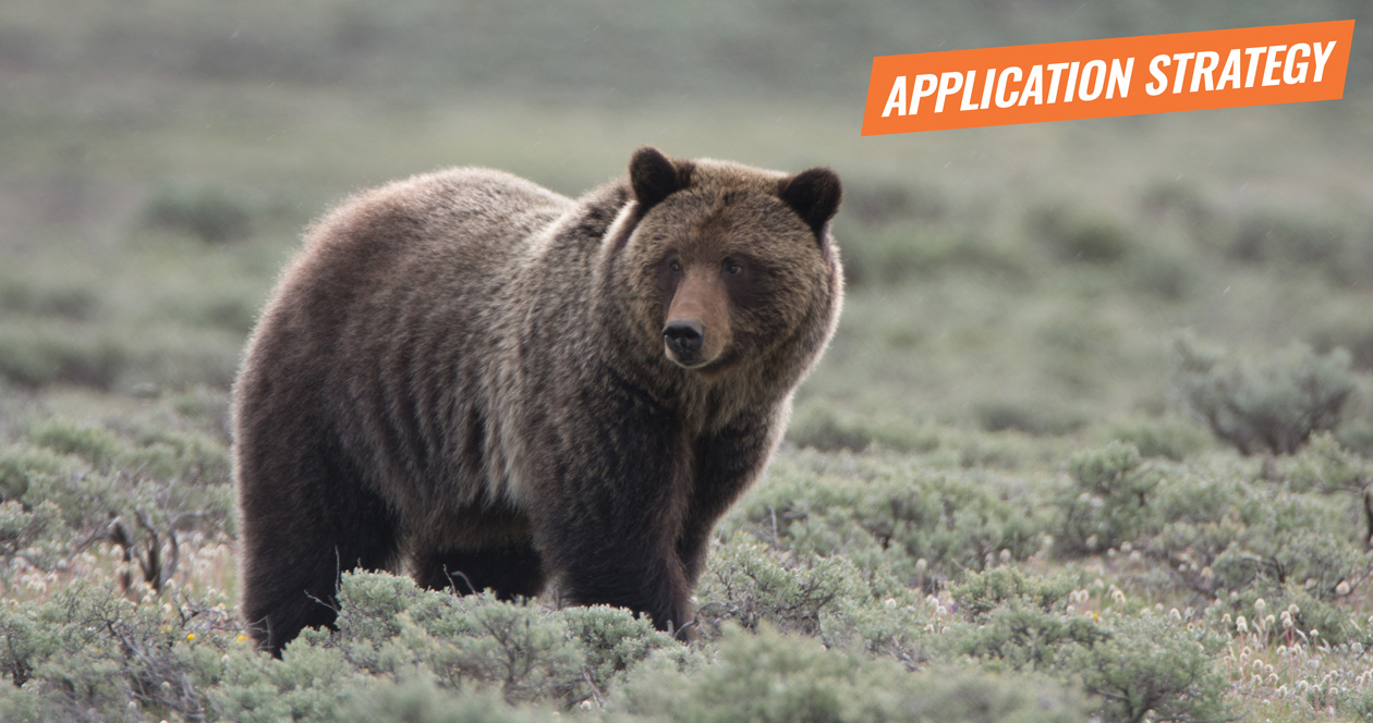 APPLICATION STRATEGY 2018: Idaho and Wyoming Grizzly Bear Hunt ...