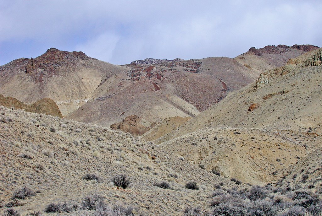 Idaho Unit 36B Unit Profile // GOHUNT. The Hunting Company