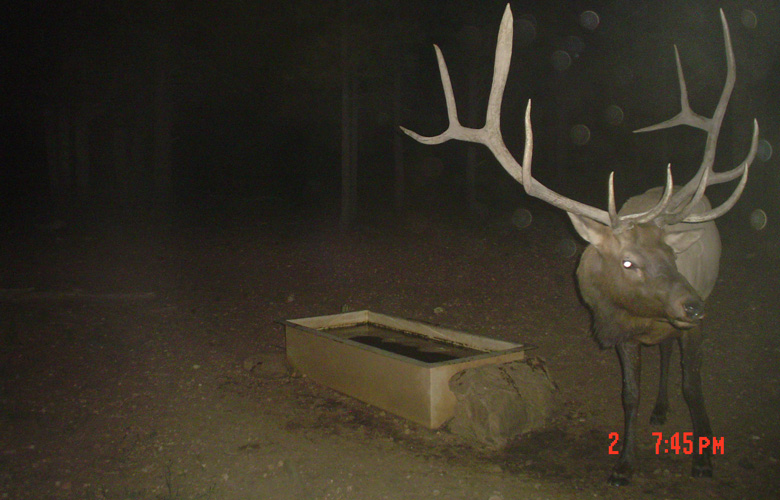 How to score and field judge elk - Part 2 // GOHUNT. The Hunting Company