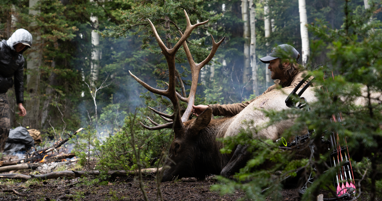 Tag Teaming Elk During An Archery Hunt // GOHUNT. The Hunting Company