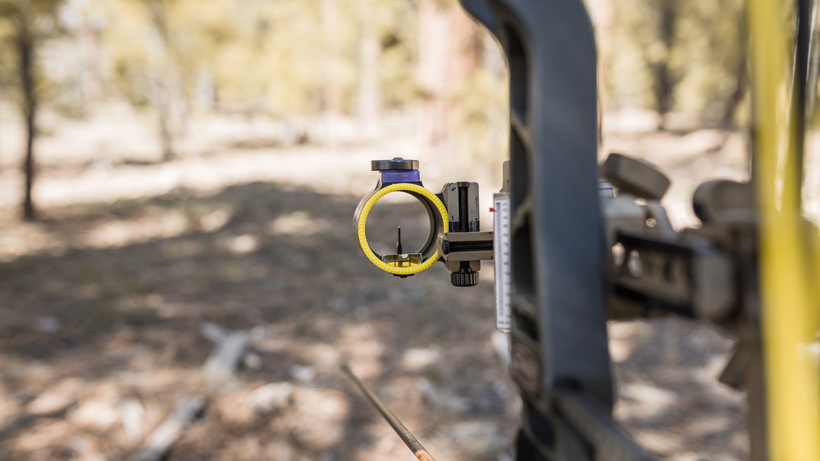 Single pin vs. multi-pin bow sights // GOHUNT. The Hunting Company