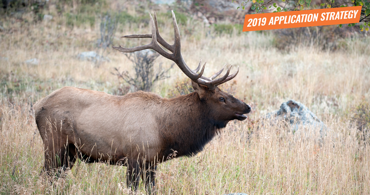 APPLICATION STRATEGY 2019: Utah Elk and Antelope // GOHUNT. The Hunting ...
