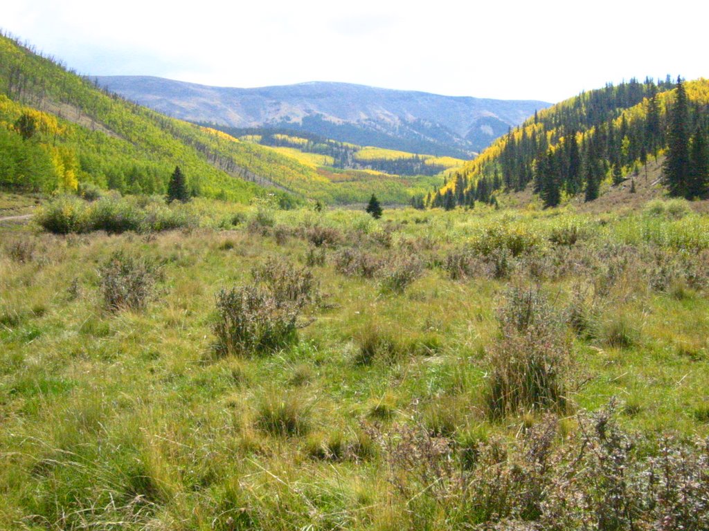 Colorado Unit S22 Unit Profile // GOHUNT. The Hunting Company