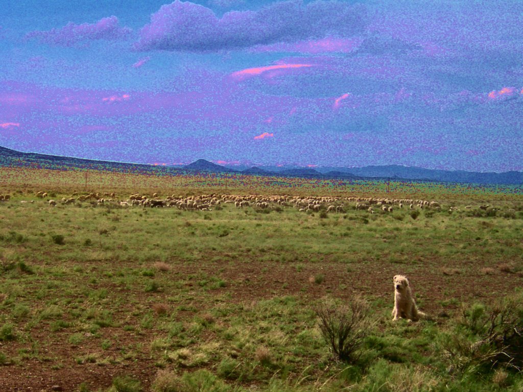 Colorado Unit S30 Unit Profile // GOHUNT. The Hunting Company