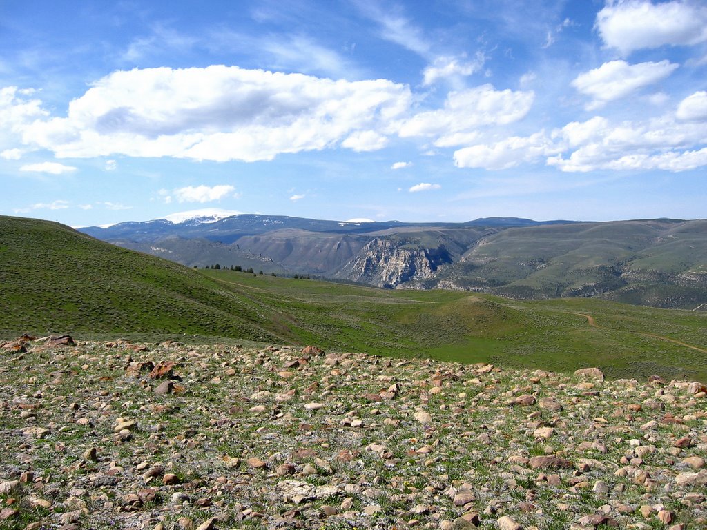 Utah Yellowstone/Vernal/Bonanza Unit Profile // GOHUNT. The Hunting Company