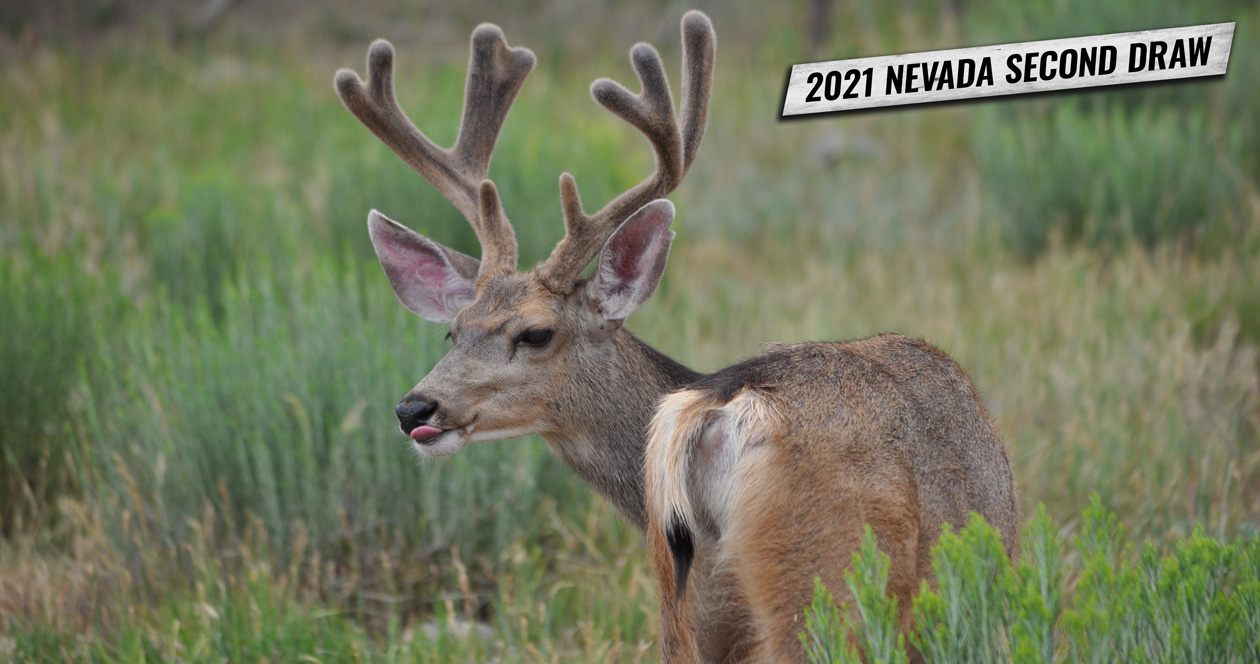 List of 2021 Nevada tags available in the Second Draw // GOHUNT. The ...
