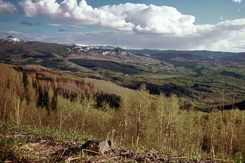 Colorado Unit 231 Unit Profile // GOHUNT. The Hunting Company