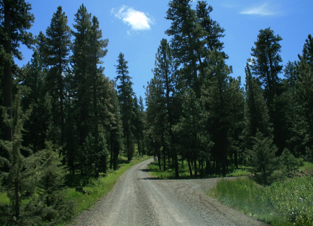 Oregon Unit 36 - Maury Unit Profile // GOHUNT. The Hunting Company