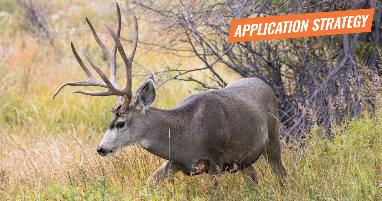APPLICATION STRATEGY 2018: Utah Mule Deer // GOHUNT. The Hunting Company