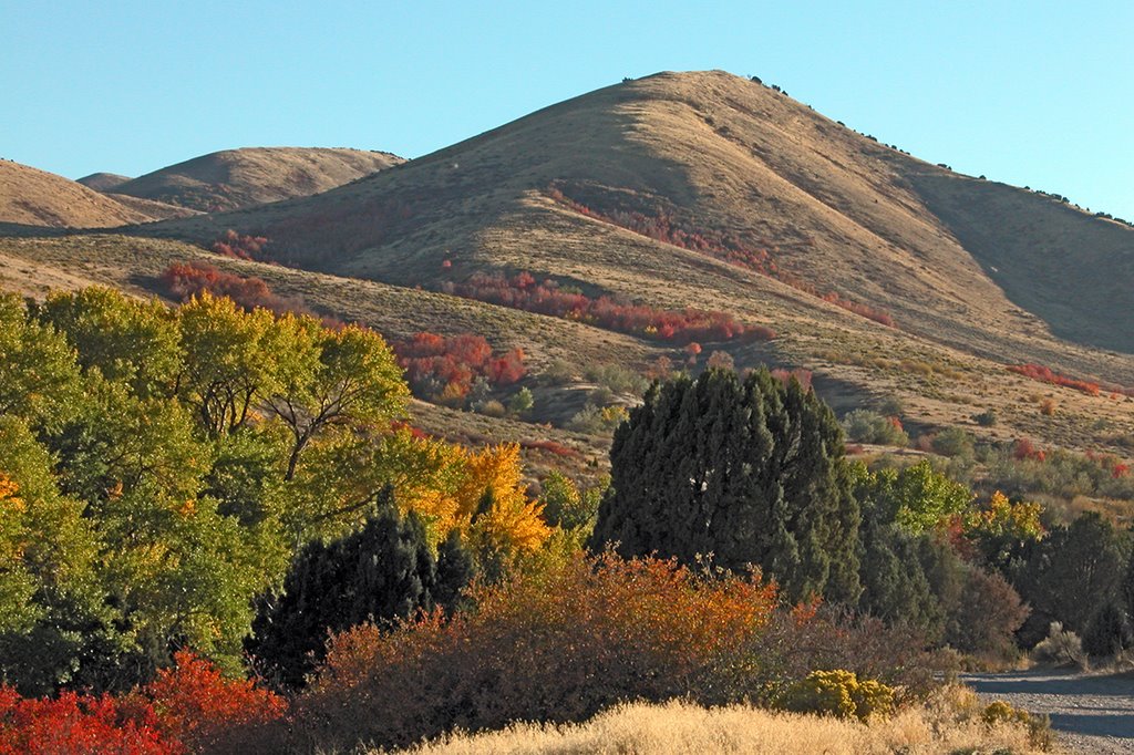 Idaho Unit 70 Unit Profile // GOHUNT. The Hunting Company