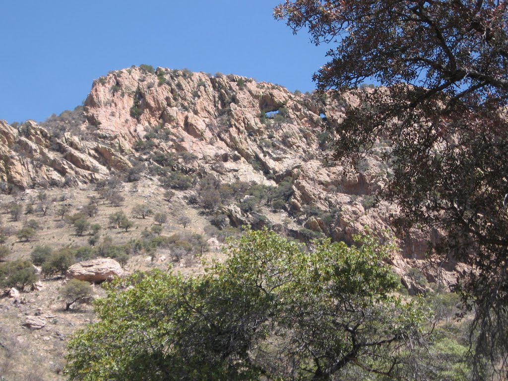 Arizona Unit 36C Unit Profile - 8 Hunters are talking about this Unit ...