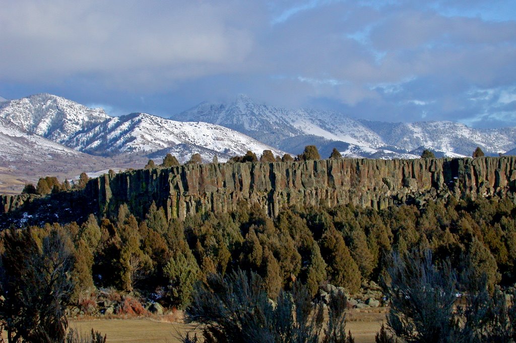 Idaho Unit 71 Unit Profile - 7 Hunters are talking about this Unit ...