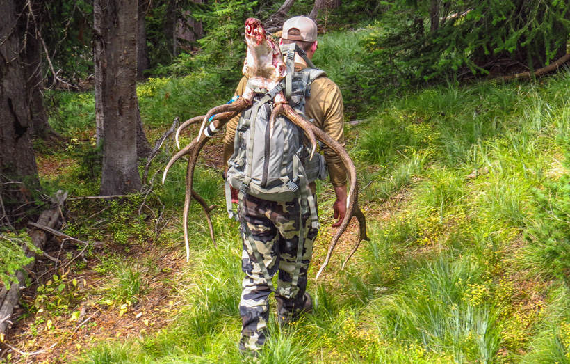 Practical scouting strategies for elk: Part 3 // GOHUNT. The Hunting ...
