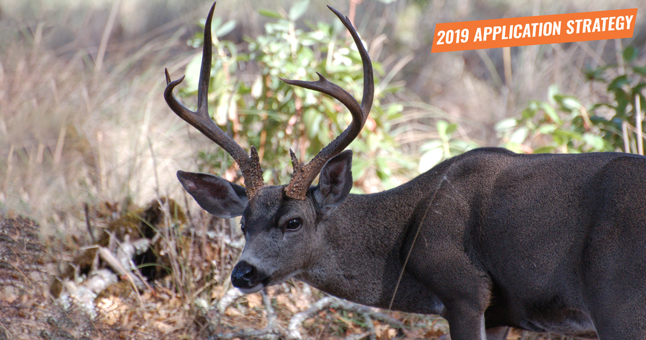 APPLICATION STRATEGY 2019: Oregon Deer // GOHUNT. The Hunting Company
